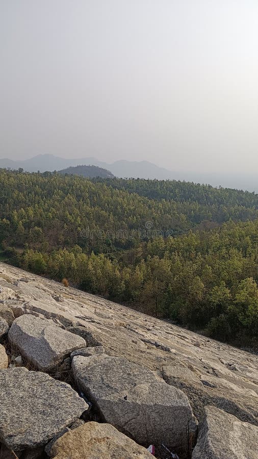 Purulia Upper Dam Sal Forest Stock Photos - Free & Royalty-Free Stock ...