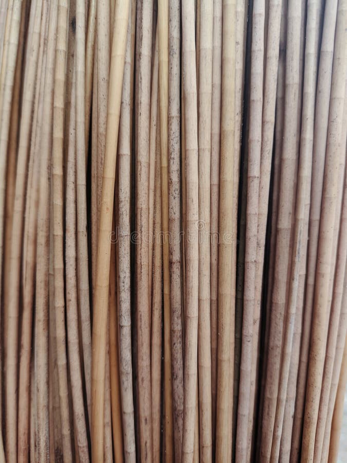 Purun Garden Surface Texture in Indonesia Stock Image - Image of ...