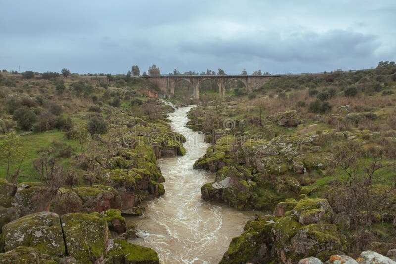 Pusa River Canyon in Springtime, Bridge Over the Pusa River Stock Photo ...