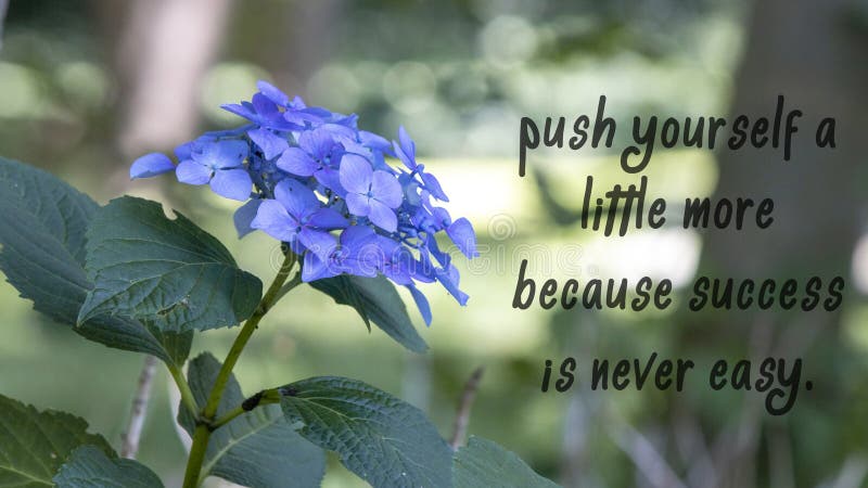 Push Yourself a Little More because Success is Never Easy. Success ...