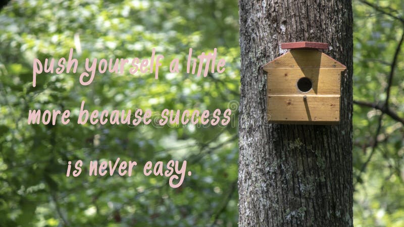 Push Yourself a Little More because Success is Never Easy. Success ...