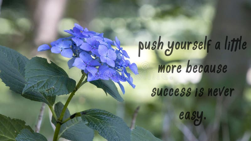 Push Yourself a Little More because Success is Never Easy. Success ...