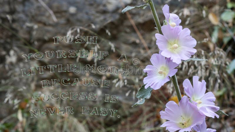 Push Yourself a Little More because Success is Never Easy. Success ...