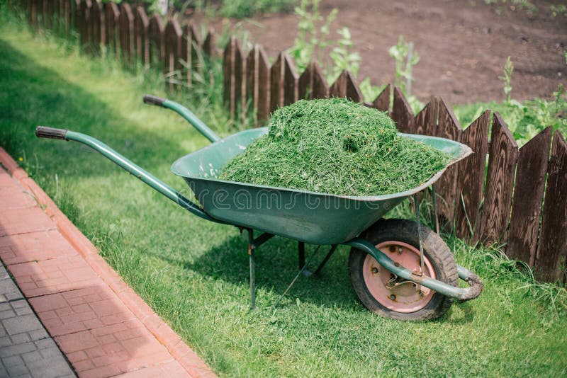 Pushcart Full of Cutted Grass Stock Photo - Image of meadow ...