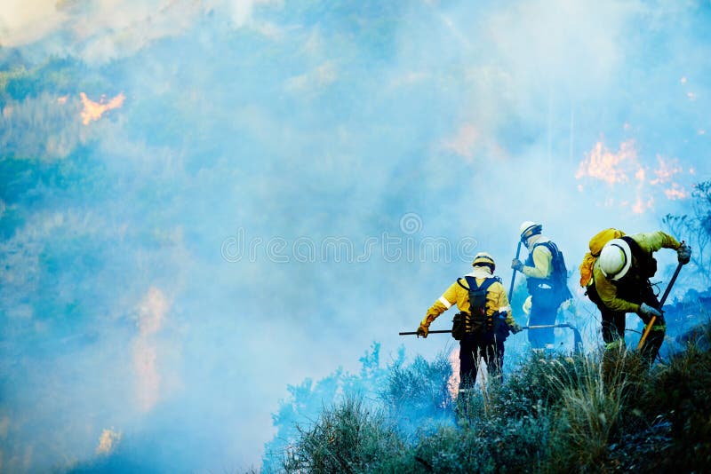 Pushing Back the Flames. Fire Fighters Combating a Wild Fire. Stock ...
