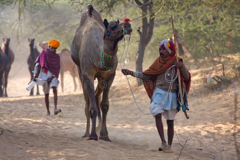Pushkar Camel Mela (Pushkar Camel Fair) Editorial Photo - Image of ...