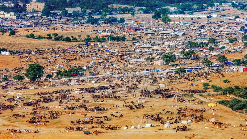 Pushkar Fair, Top View. Pushkar, Rajasthan, India Stock Photo - Image ...