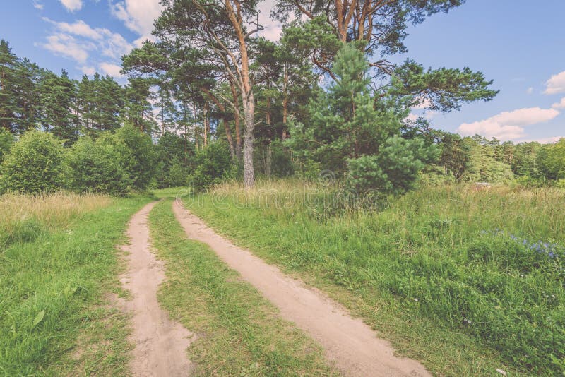 Pusta Droga W Wsi W Lecie Żwir Powierzchnia Zdjęcie Stock - Obraz ...