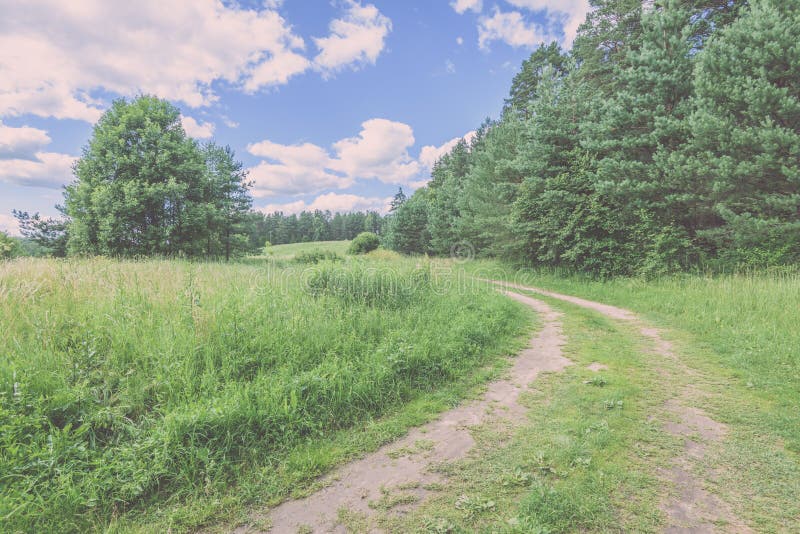 Pusta Droga W Wsi W Lecie Żwir Powierzchnia Zdjęcie Stock - Obraz ...