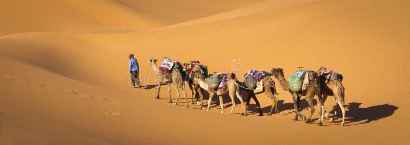 Pustynna karawana obraz stock. Obraz złożonej z journeyer - 42240293