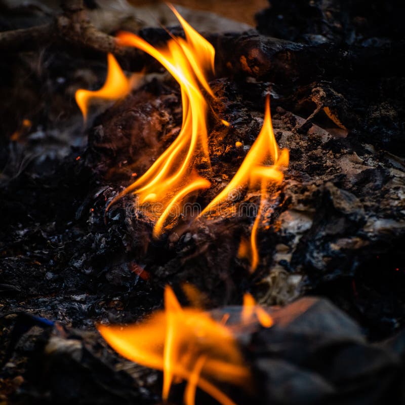 Put Fire To the Garbage in the Backyard Stock Image - Image of dark ...