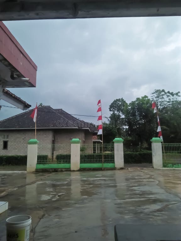 Put the flag in the yard stock image. Image of flag - 238393143