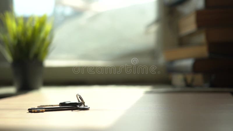 Take Car Keys from the Wall. Footage. Male Hand Takes Car Keys with ...