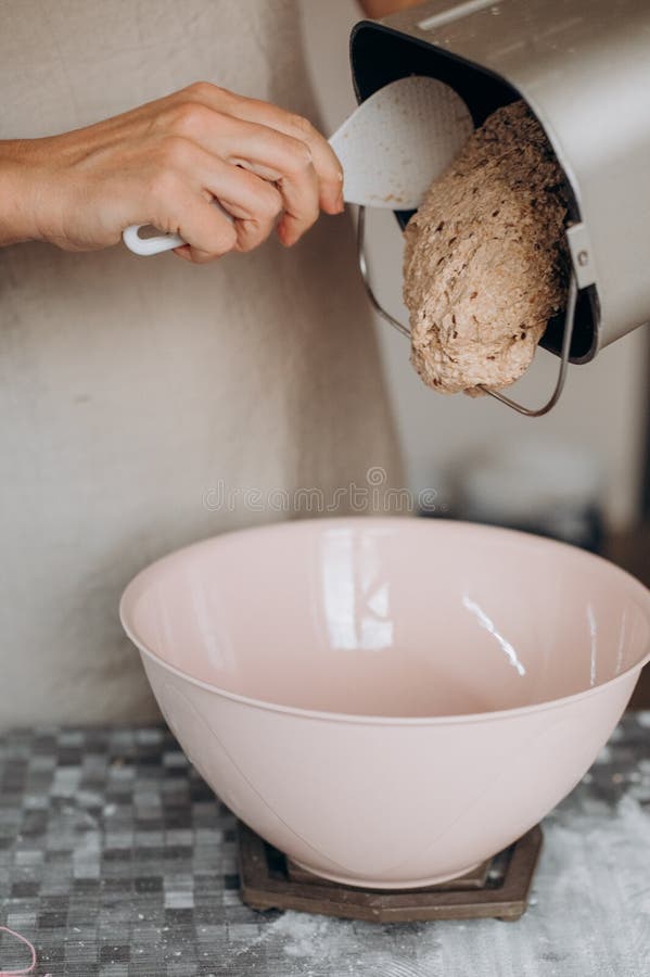 Put Kneaded Dough Round Form Making Bread Stock Photo - Image of ...