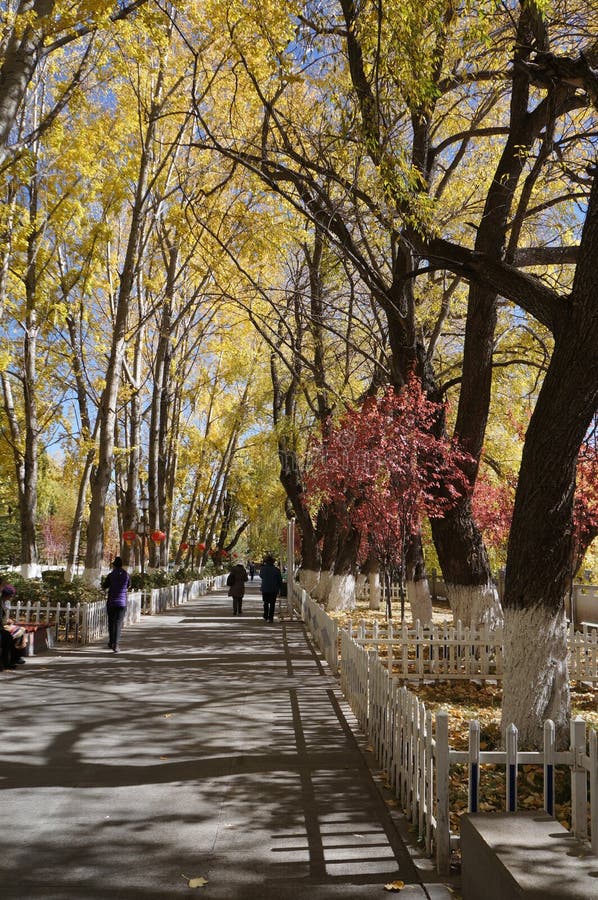Putala palace park stock photo. Image of tibet, view - 212268098