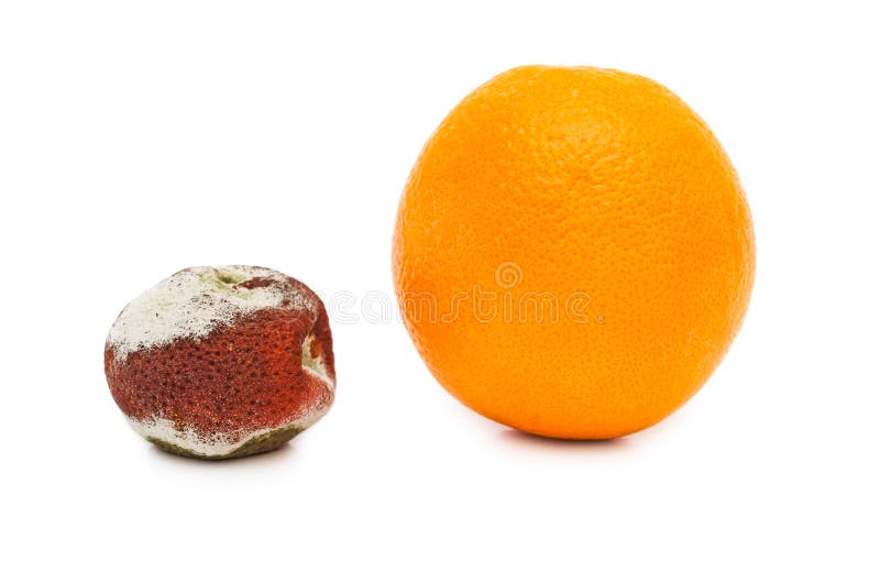 Putrefaction orange stock photo. Image of malodorous - 38735896