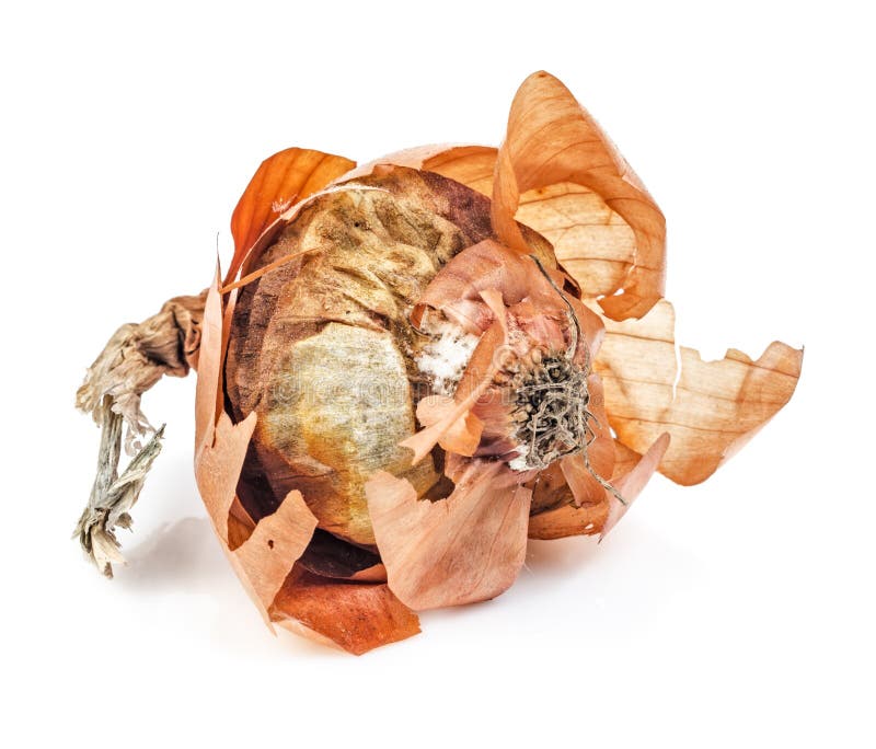 Putrefacto Estropeado Cubierto Con El Bulbo De La Cebolla Del Molde ...