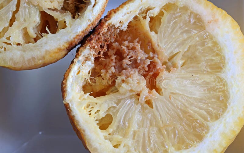 Putrid Rot Inside a Cut Lemon Stock Photo - Image of brown, crop: 299958800