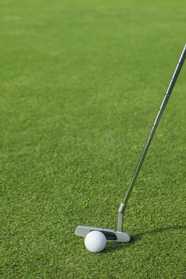 Putter Puts a Golf Ball To Hole Stock Image - Image of tree, putt: 28021425