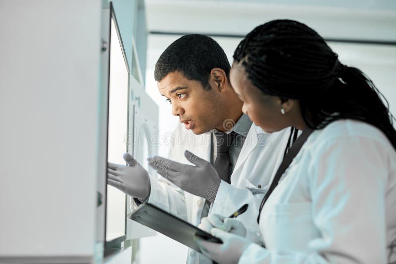 Putting All Their Data Together. Two Scientists Working Together in a ...