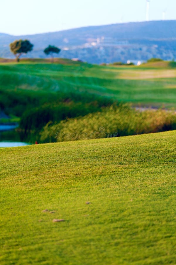 Putting Green of Golf Field Stock Image - Image of sunny, view: 21007449