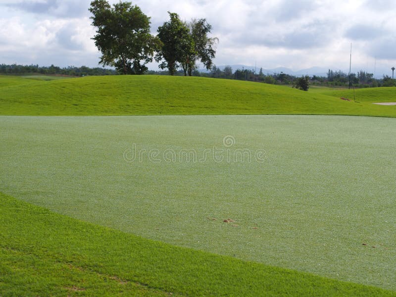Putting Green Turf in Golf Course Stock Image - Image of country, club ...