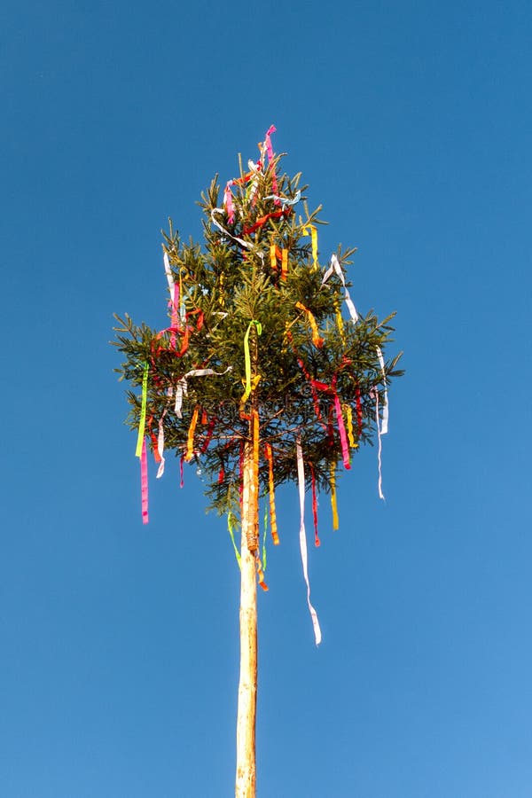 Putting Up the Maypoles - Slovak Spring Tradition Stock Image - Image ...