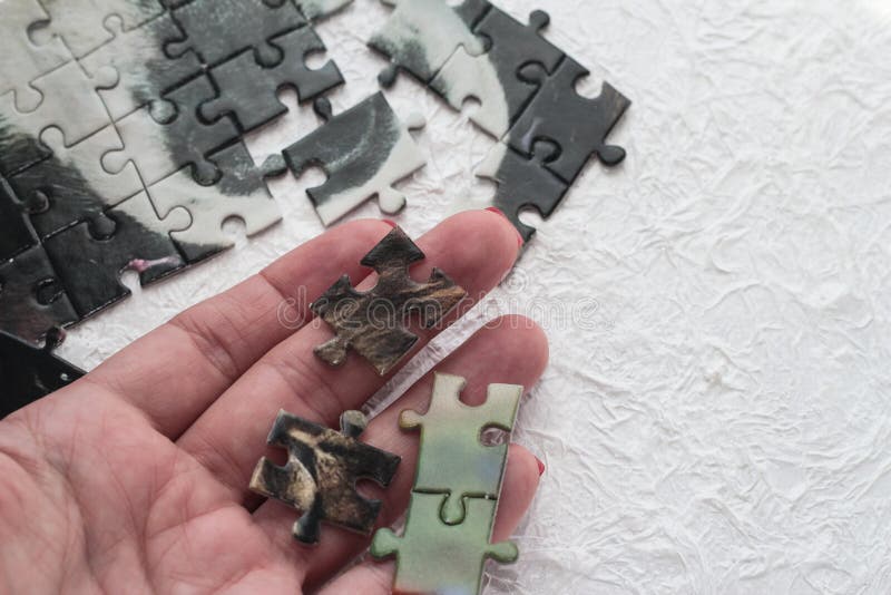 Puzzles in a Woman`s Hand. Home Educational Games Stock Image - Image ...