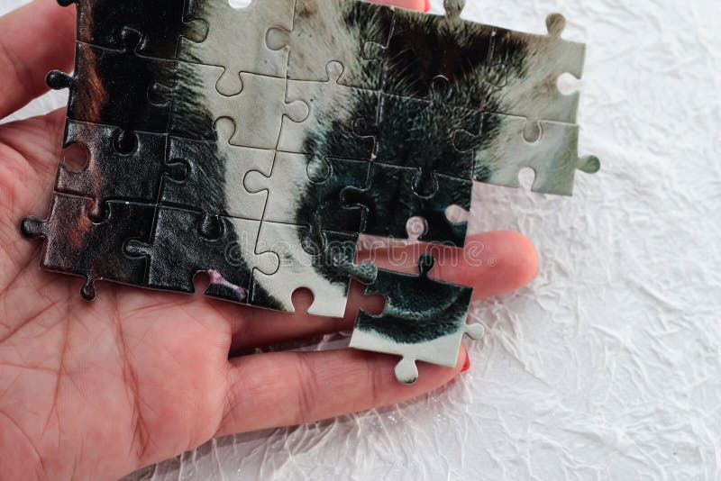 Puzzles in a Woman`s Hand. Home Educational Games Stock Image - Image ...