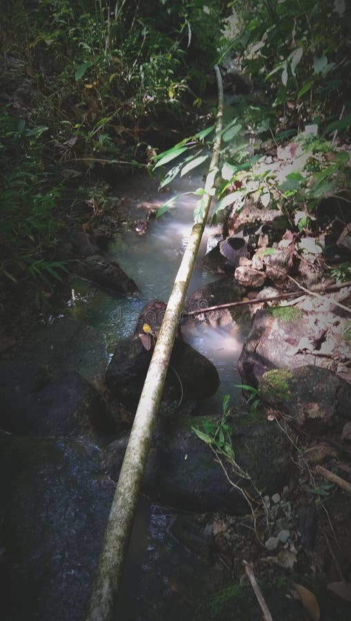 PVC Pipes Above the River on the Edge of the Forest Carry Water from a ...