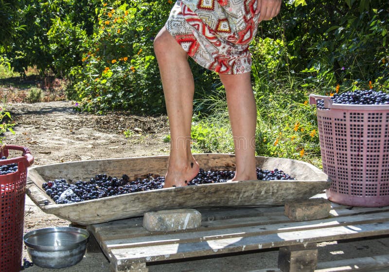 Young Girl Stomping Stock Photos - Free & Royalty-Free Stock Photos ...