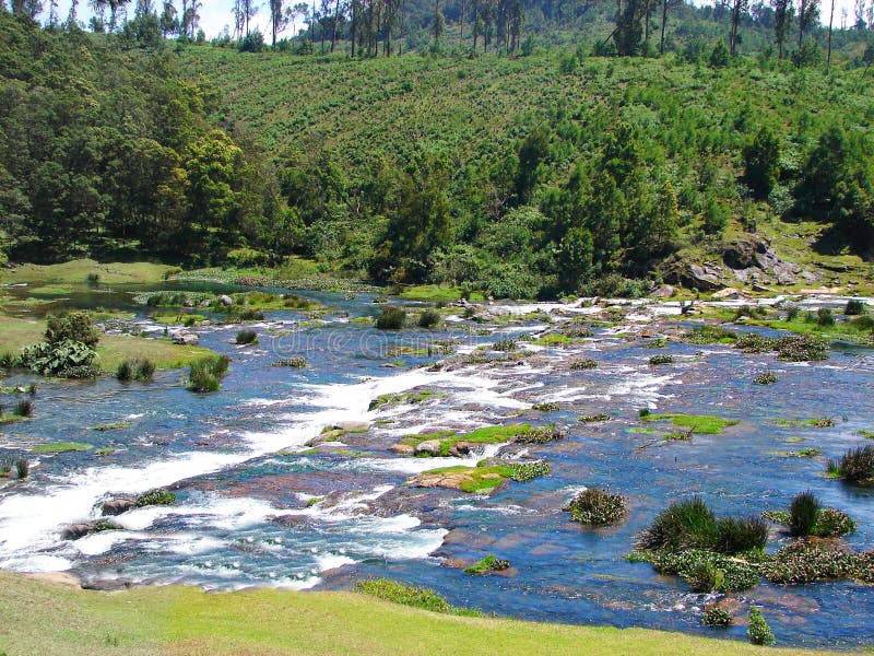 Pykara waterfalls at Ooty stock photo. Image of pykara - 202994466