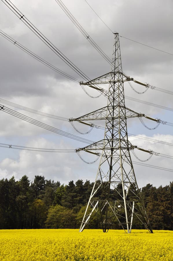 Pylon in seed field stock photo. Image of england, natural - 25095788