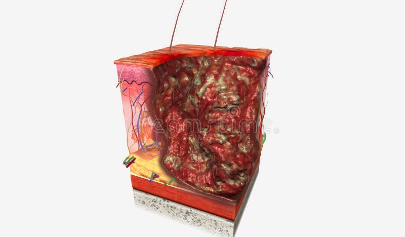 Iii 3d Stock Illustrations – 427 Iii 3d Stock Illustrations, Vectors ...