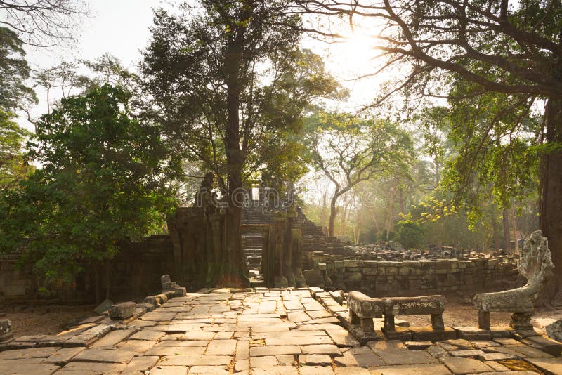 Pyramid in Cambodia stock photo. Image of ruin, siem - 95805176