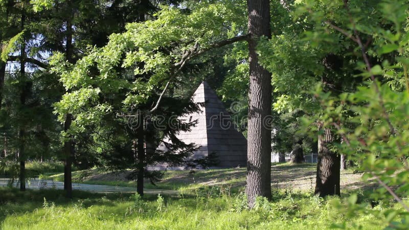 Money Animation: $1500 Rising, Depicting Profit Increase. Stock Footage ...