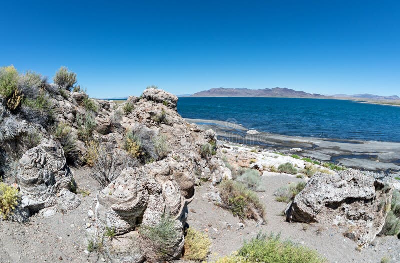 Pyramid Lake and Unusual Tufa Rock Stock Image - Image of america ...