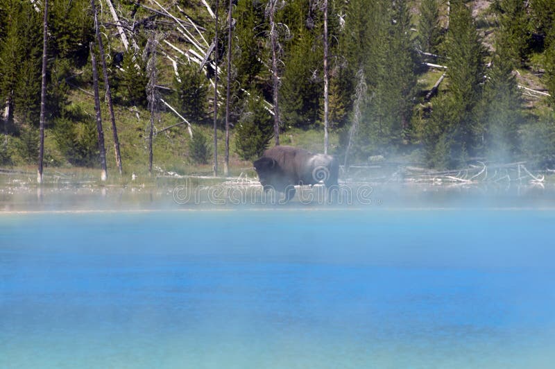 Pyramid lake. USA stock image. Image of wild, water, blue - 16658541