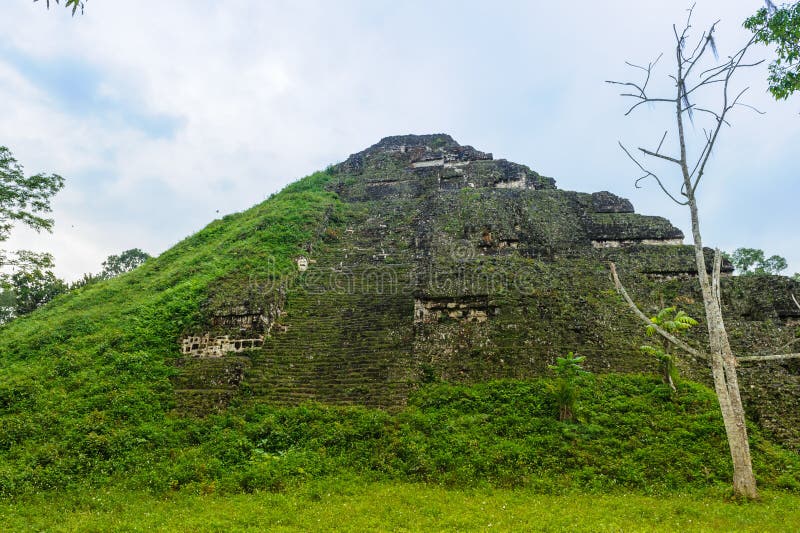 Pyramid of Mundo Perdido stock image. Image of lost, evening - 56661549