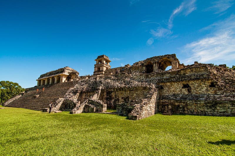 Pyramids and Ancient Buildings in Archaeological Site of Palenque ...
