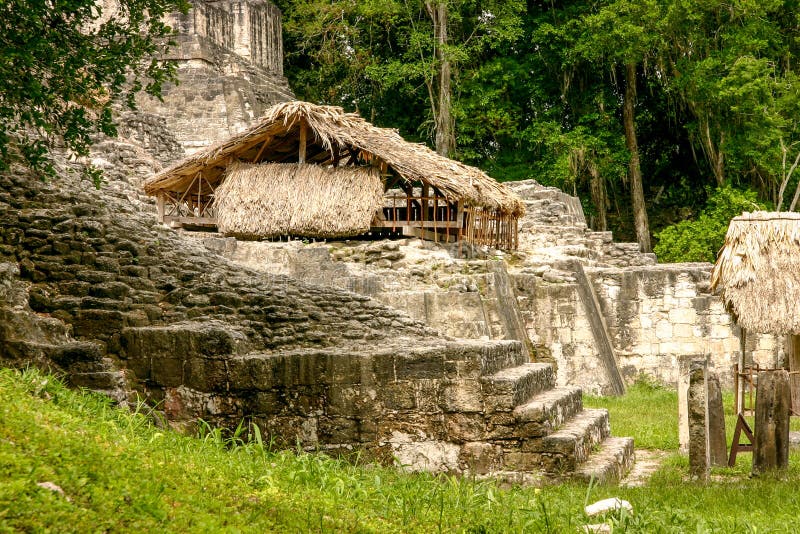 Pyramids Tikal Guatemala stock photo. Image of ancient - 217413352