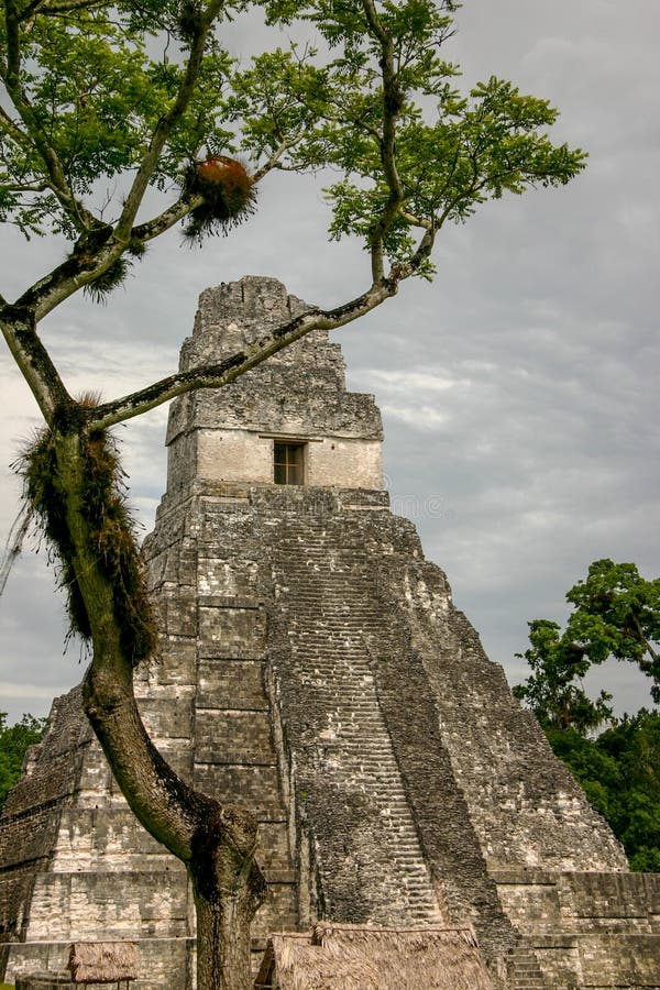 Pyramids Tikal Guatemala stock photo. Image of natural - 217413276