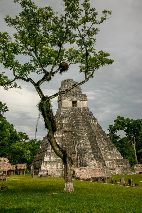 Pyramids tikal guatemala stock foto. Image of archeologisch - 217413352
