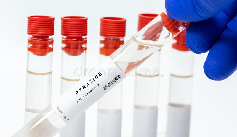 Pyrazine stock image. Image of scientific, medical, liquid - 371655683
