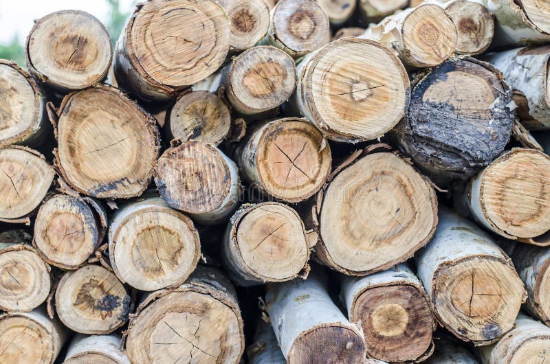 520 Wood Pyre Photos - Free & Royalty-Free Stock Photos from Dreamstime