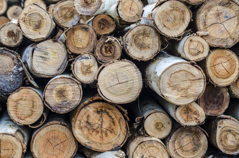 520 Wood Pyre Photos - Free & Royalty-Free Stock Photos from Dreamstime