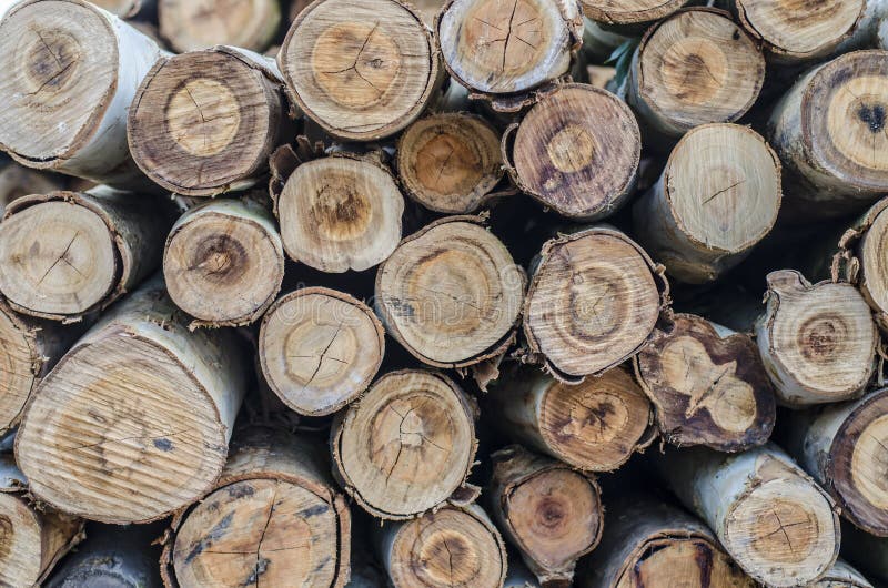 520 Wood Pyre Photos - Free & Royalty-Free Stock Photos from Dreamstime