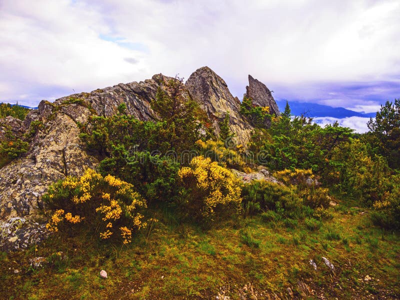 Pyrenean Rock with Broom Under Clouds Stock Image - Image of ...