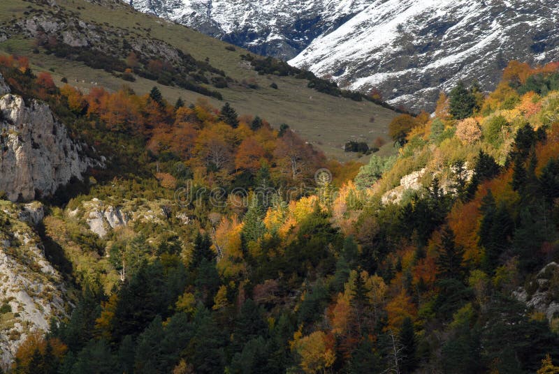 Pyrenees in autumn stock photo. Image of pyrennes, trees - 18009972