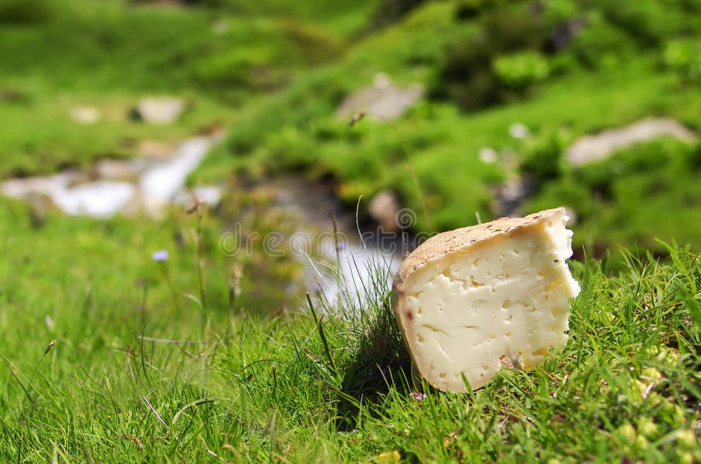 Pyrenees cheese stock photo. Image of delicious, mountains - 51717534